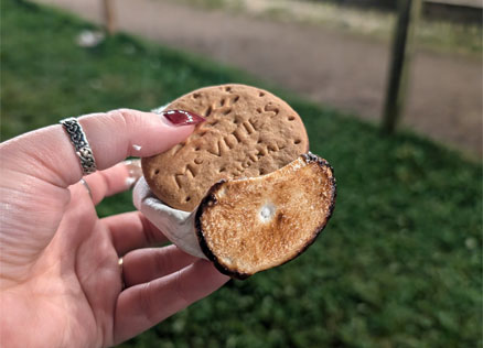 Walby Farm Park - 50 Great Cumbrian Experiences | Visit Lake District