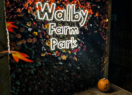 Walby Farm Park - 50 Great Cumbrian Experiences | Visit Lake District