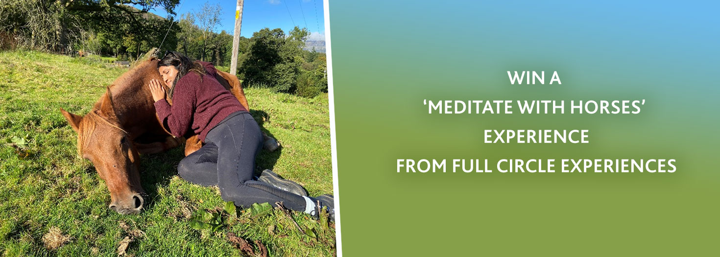 Win a Meditate with Horses Experience - Visit Lake District