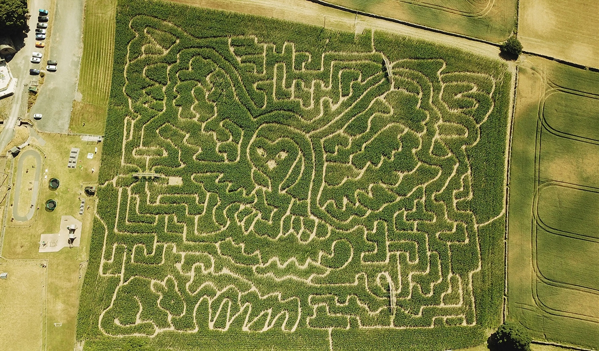 Lakeland Maze Farm Park - Visit Lake District